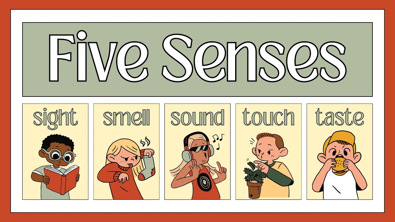 The Five Senses Song | Fun Learning for Kindergarten Kids! - YouTube