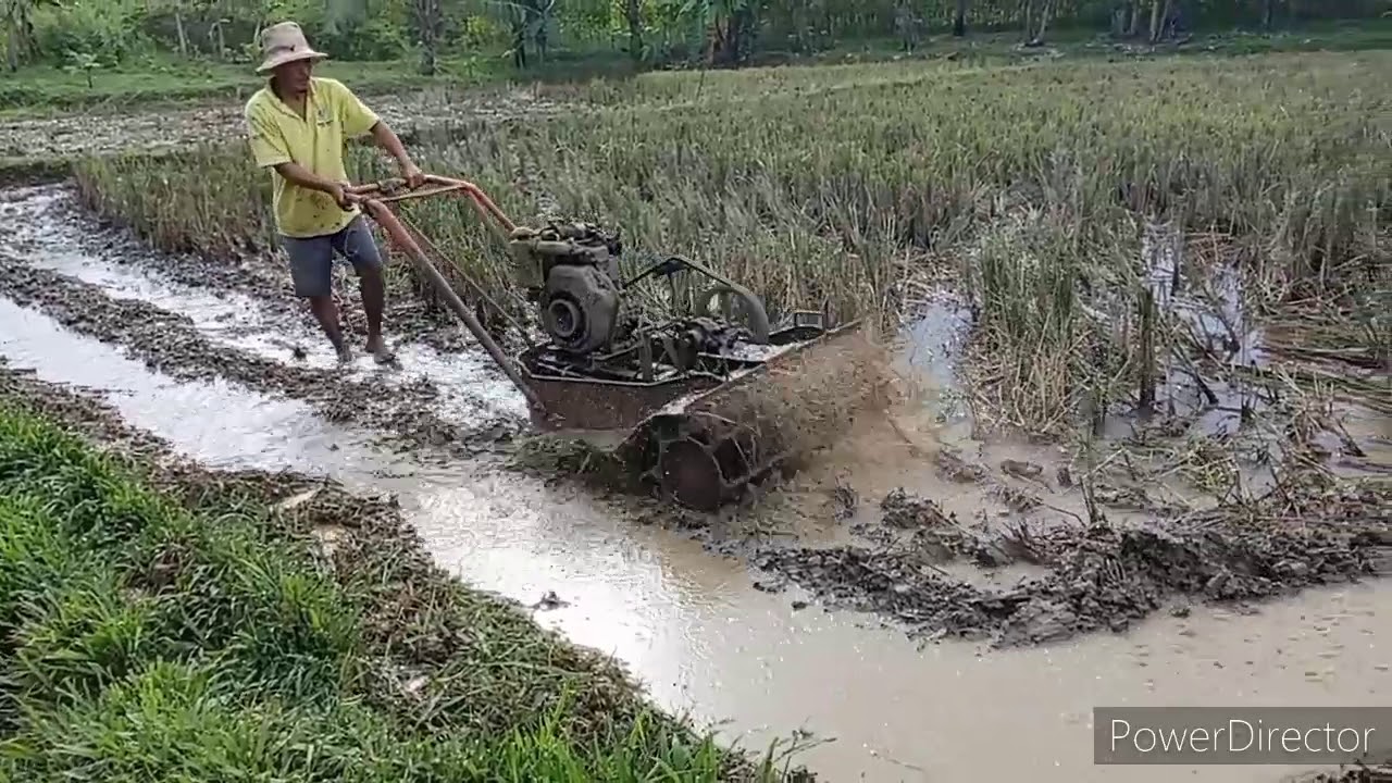 paghahanda ng palayan gamit ang turtle power tiller - YouTube