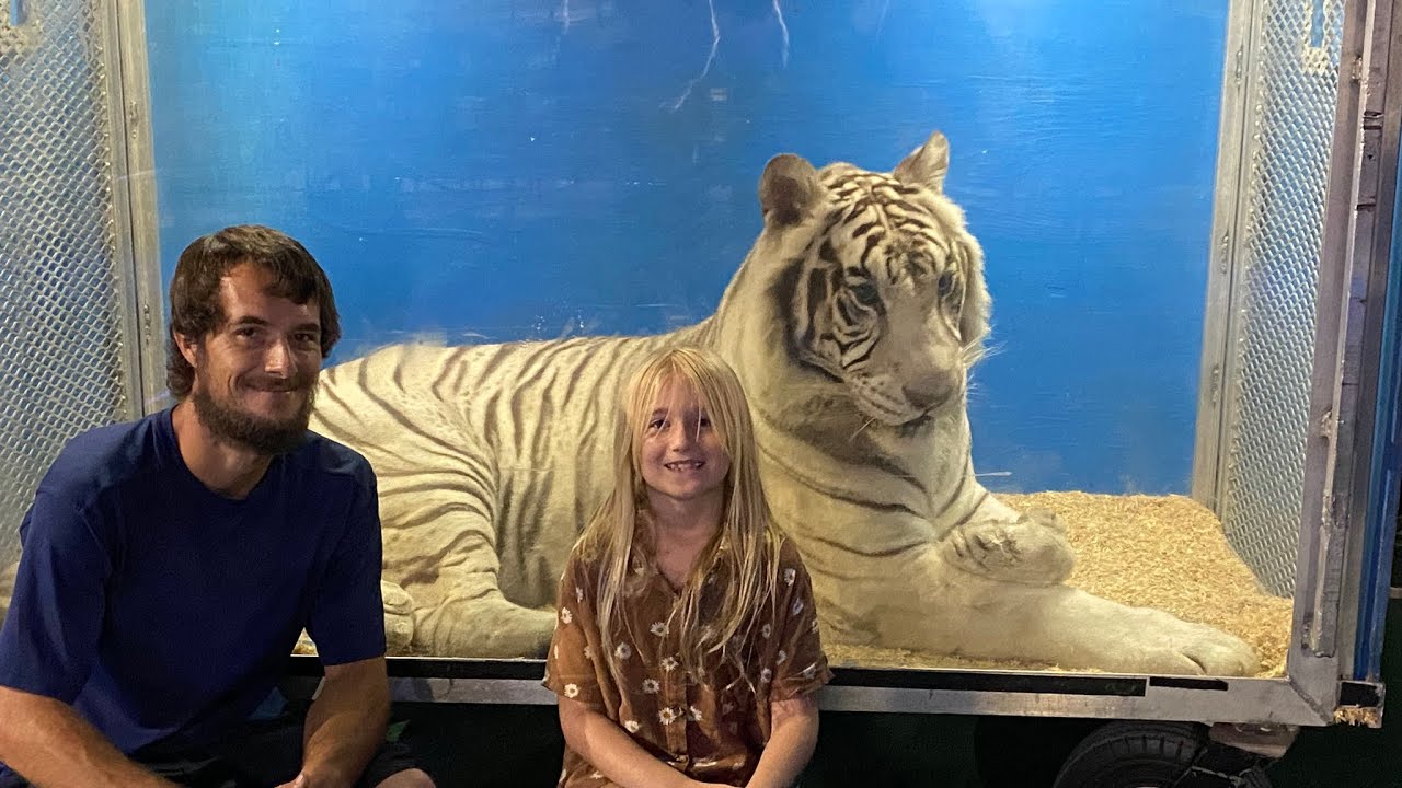 Big Cat Habitat And Sanctuary Sarasota Florida! - YouTube