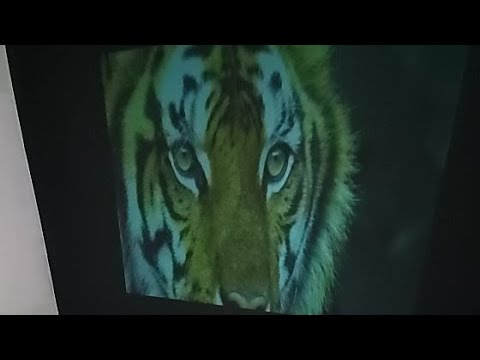 Lit room on a 1000 lumens projector upgrade your old grey and white ...