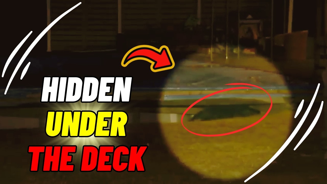 Dog Refuses to Step Outside, Owners Find ‘Giant Intruder’ Under the ...
