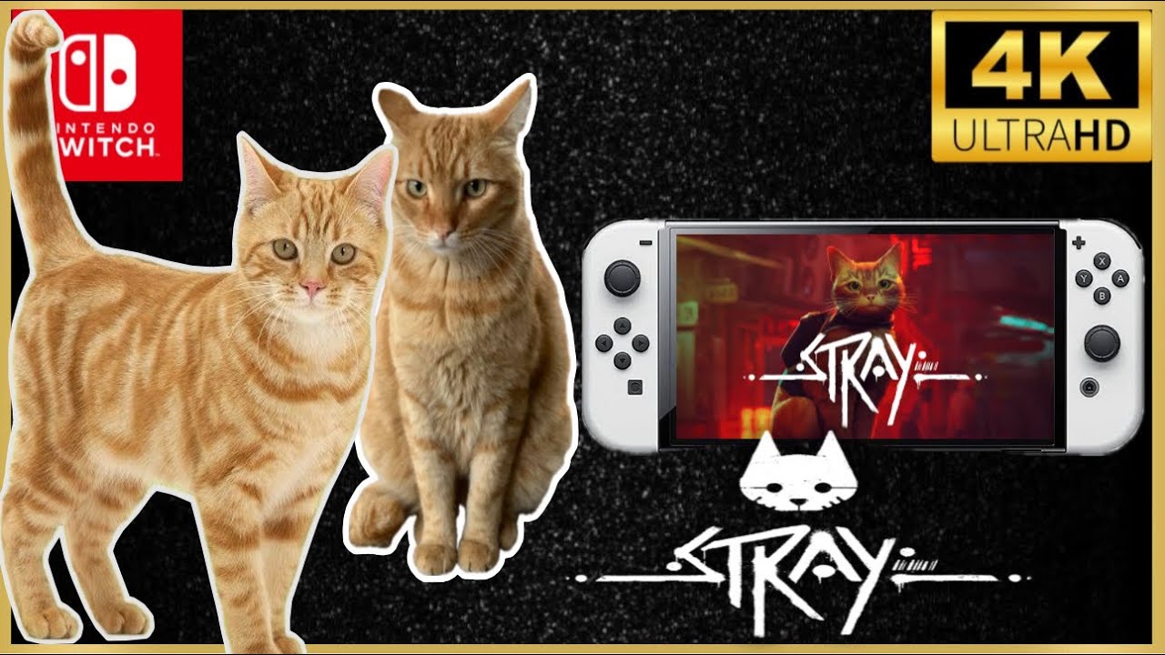 Stray on Nintendo Switch Gameplay | Switch OledGameplay - YouTube