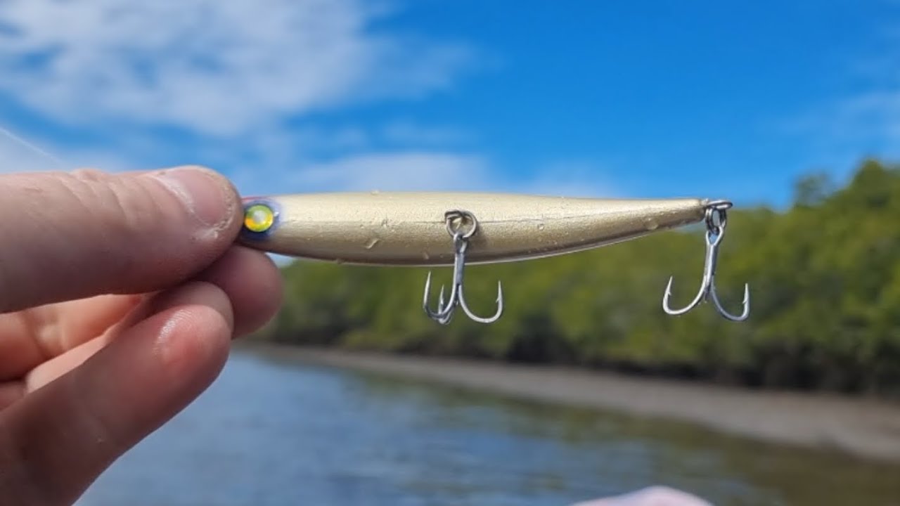 this lure was the bomb at bells creek, qld, Australia - YouTube