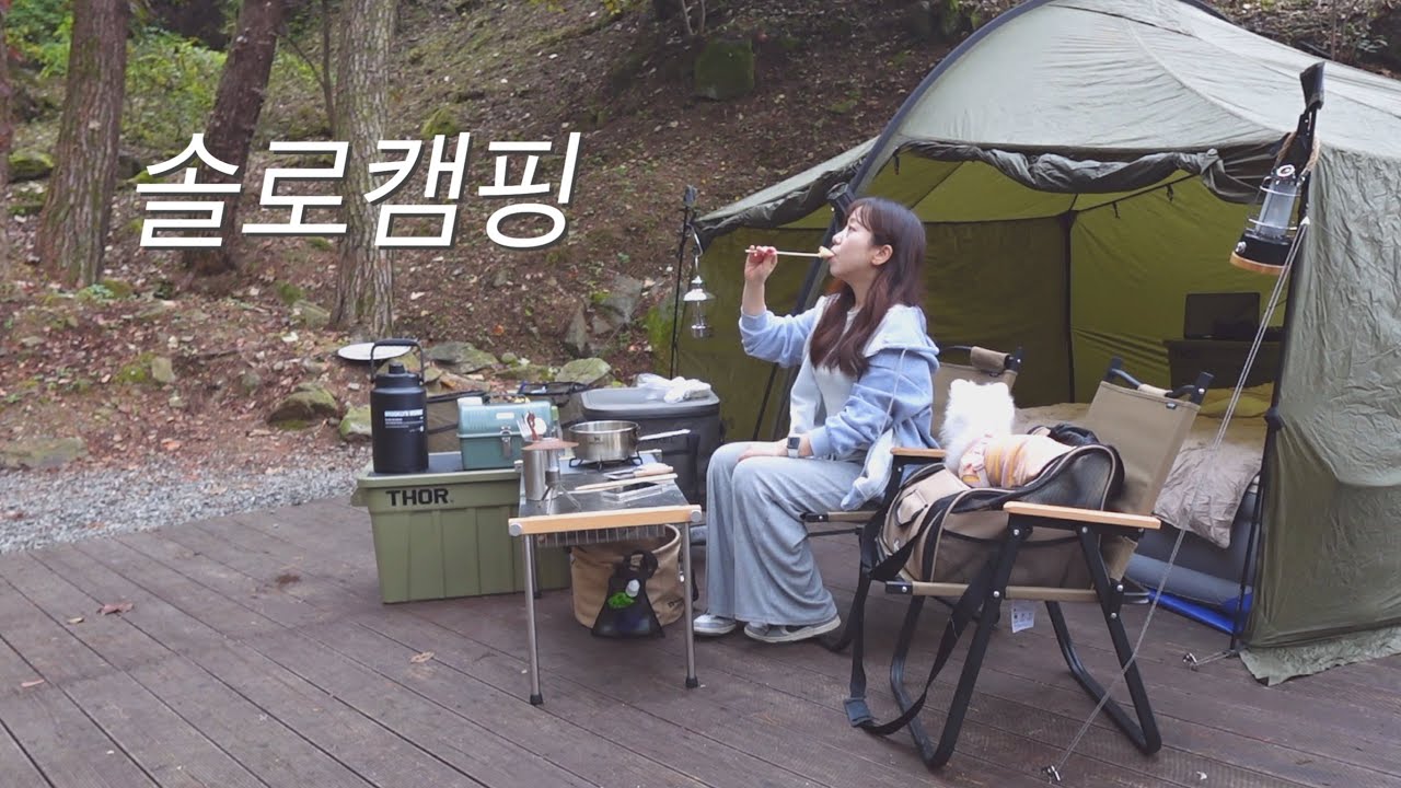 가을 솔로캠핑🍁 강아지 동반 캠핑 홍천 개암발용소관광농원 캠핑장 라멘 만들어 먹고 산책하고 솔로 캠핑 브이로그