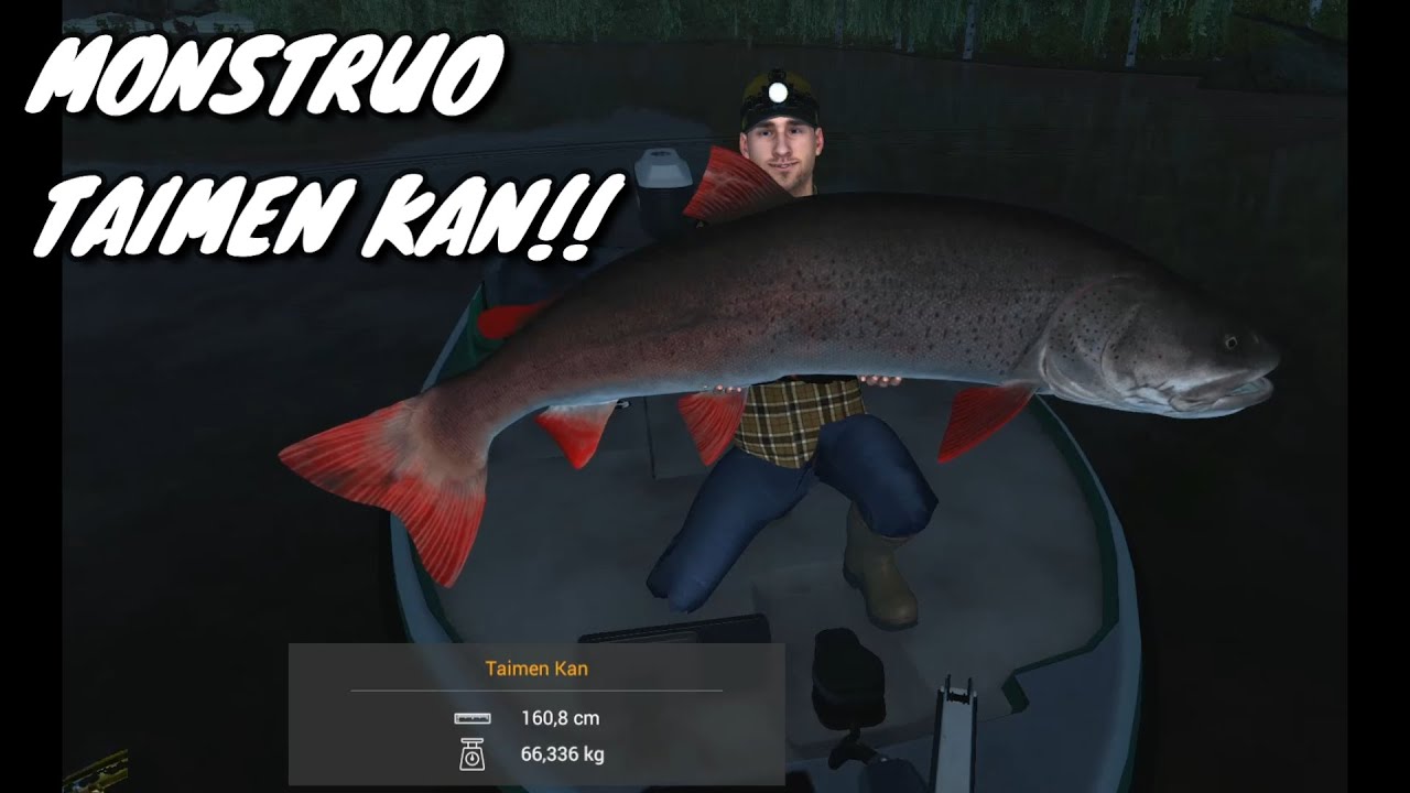 🦈MONSTRUO TAIMEN KAN ** TODAS LAS ETAPAS 🏆 ** RIO SELENGE 🌊 - YouTube