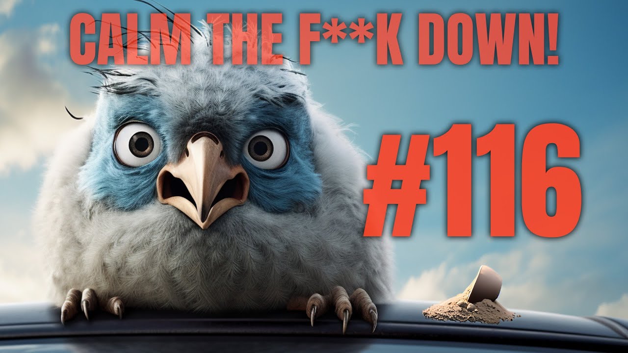 The MOST Evil Birds... (116) - CTFD Podcast - YouTube