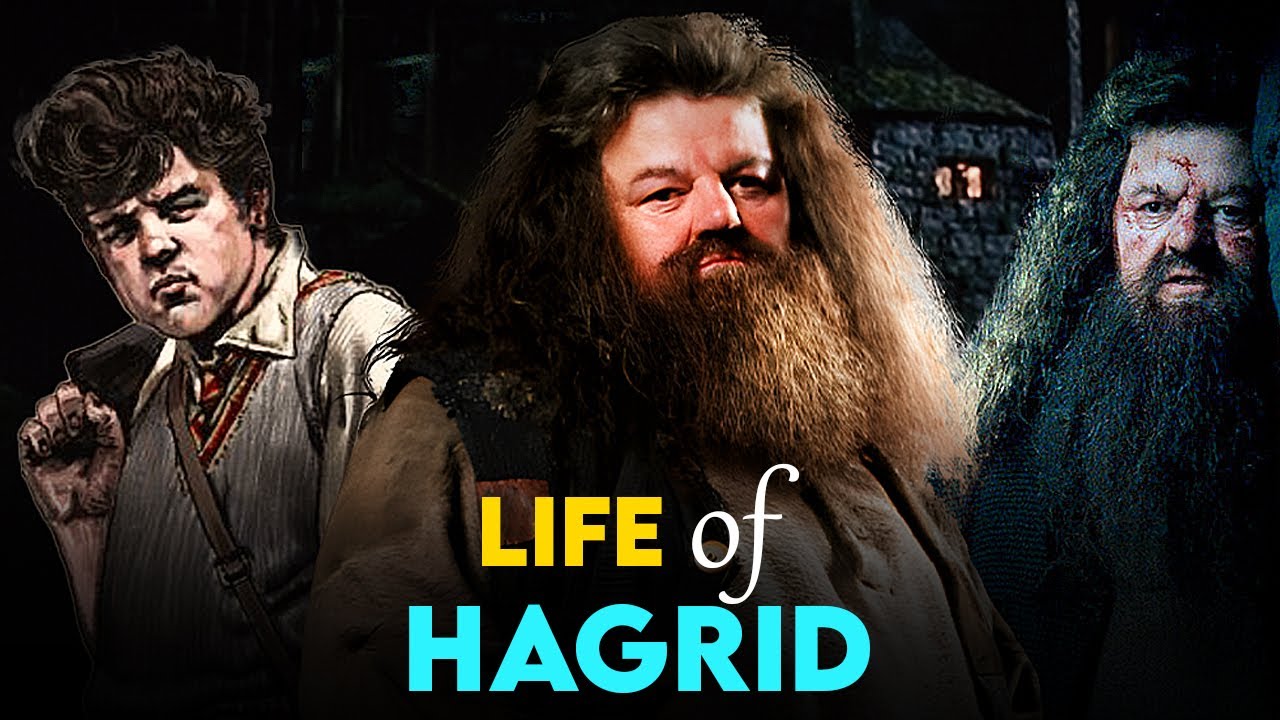 Life of Hagrid Hagrid Origins Explained in Hindi - YouTube