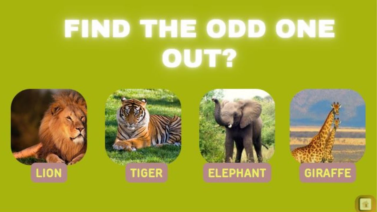 CAN YOU FIND THE ODD ONE OUT? | ODD ONE OUT QUESTIONS AND ANSWERS - YouTube