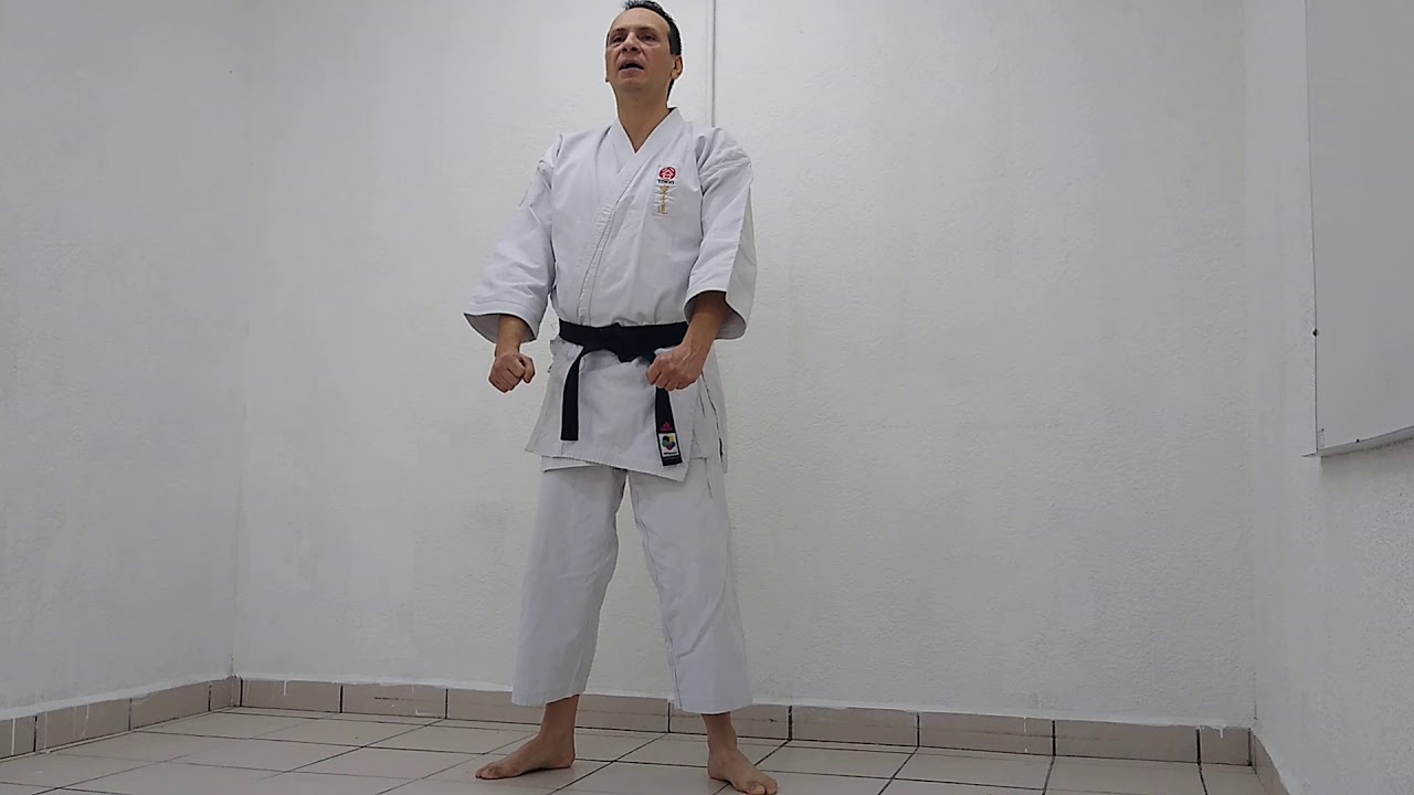 POSTURAS BASICAS (TACHI-KATA) - YouTube