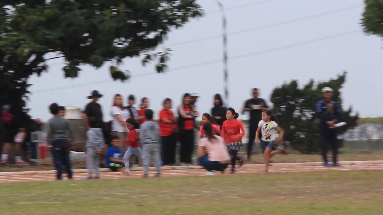 2020vuvuv與vuvuv的運動會 阮翊庭 50公尺 - YouTube