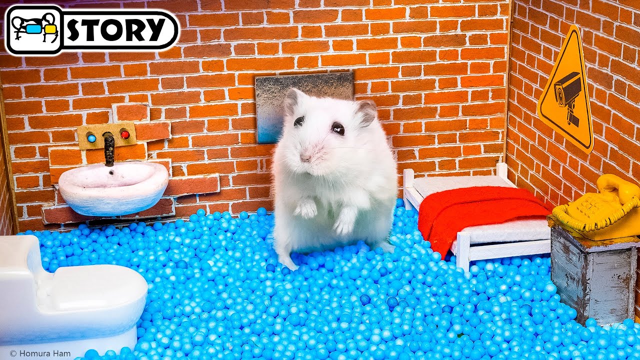 The Best Hamster Challenges 3 - Hamster Escapes from the Most Amazing ...