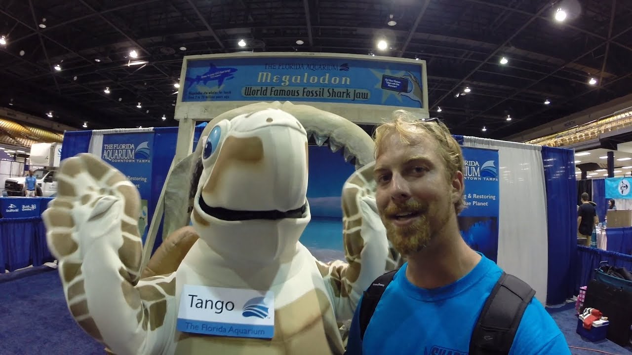 Shark Con - YouTube