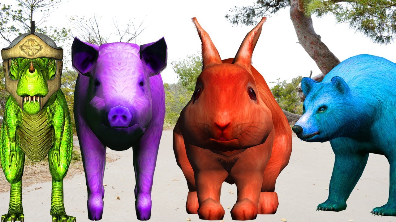 Animales De Colors