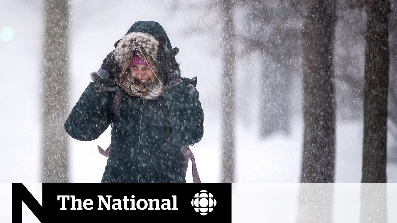 Record 45 cm of snow dropped on Ottawa - YouTube