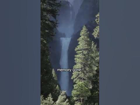 Mysterious Disappearance: Stacy Arras Missing 411 - YouTube