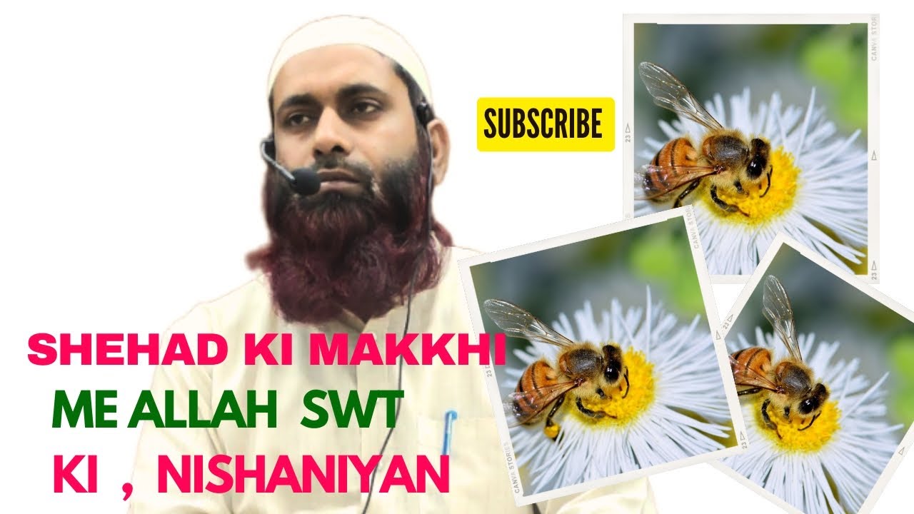 Shehad ki Makkhiyon me ALLAH Ki NISHANI|| (🐝 bee) #bee #honey #honeybee ...
