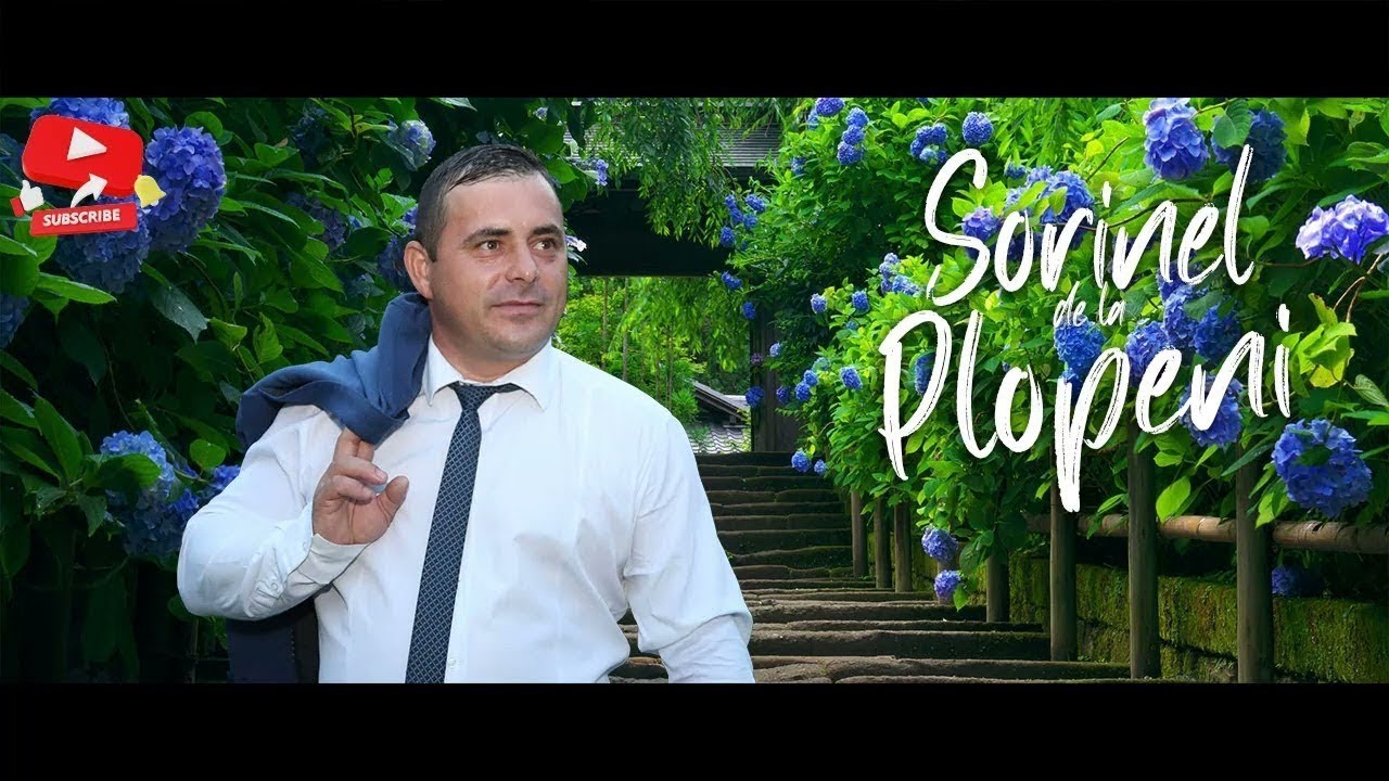 Colaj Sarbe Acordeon si Orga 2024 Sarbe Hore 2024 Sorinel - YouTube