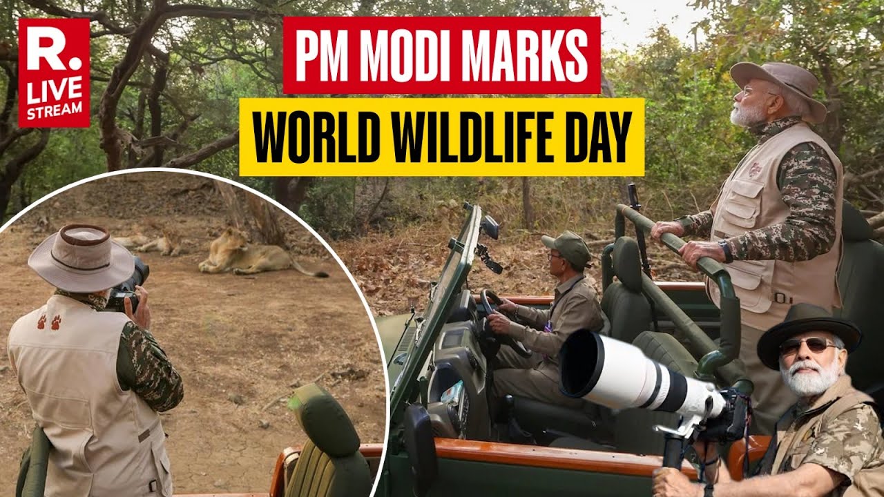 LIVE: World Wildlife Day | PM Modi Goes On Lion Safari, Clicks Pictures ...