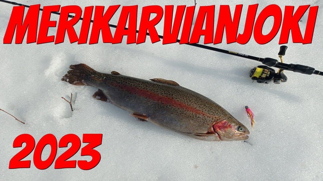 Kirjolohta | Merikarvianjoki 2023 | Spintube | Kalastus - YouTube