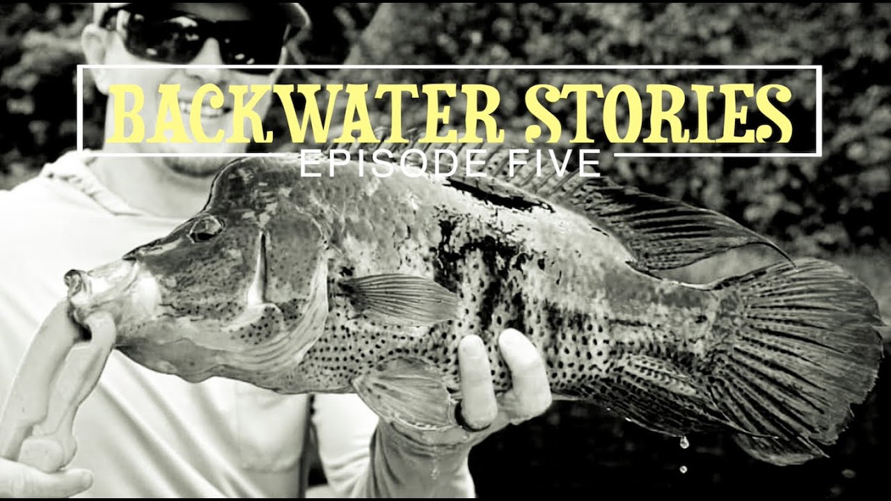 Catching My First Rainbow Bass In Costa Rica: BACKWATER STORIES EP5 ...