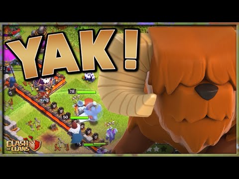 YAKS ARE THE BEST THING IN CLASH OF CLANS! TH14 LET'S PLAY - YouTube