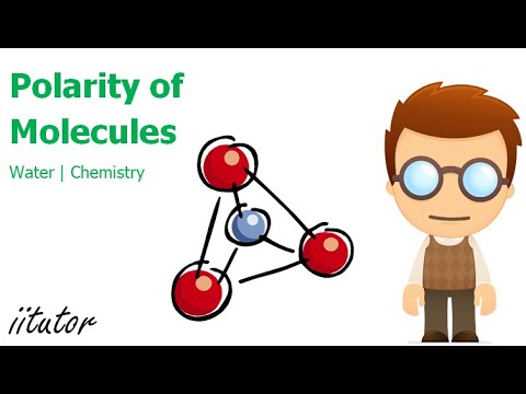 💯 Polarity of Molecules, An Ultimate Guide. Watch this video! - YouTube