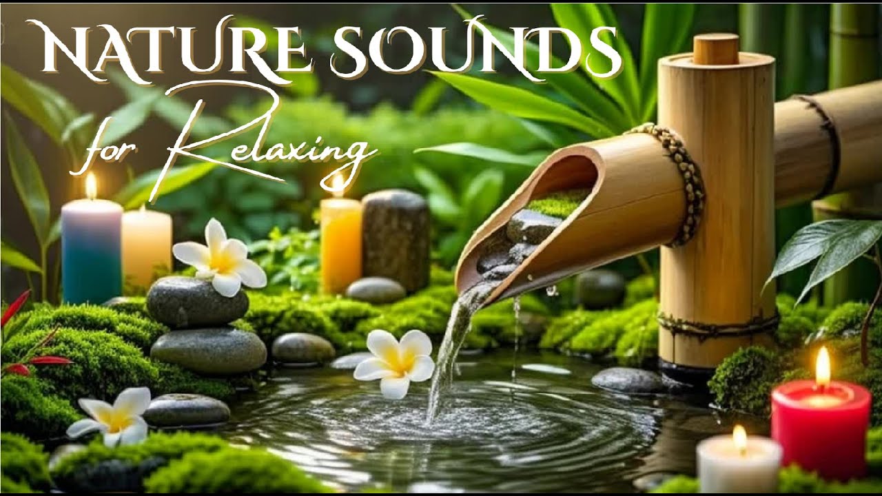 Soft piano music for relaxation with natural water & nature sounds for ...