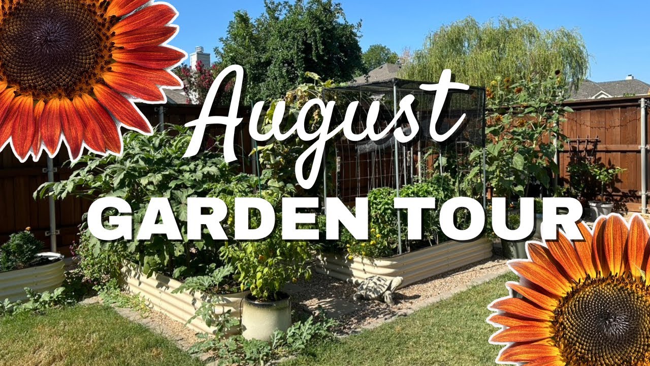 August Garden Tour | Backyard Raised Bed Garden - YouTube