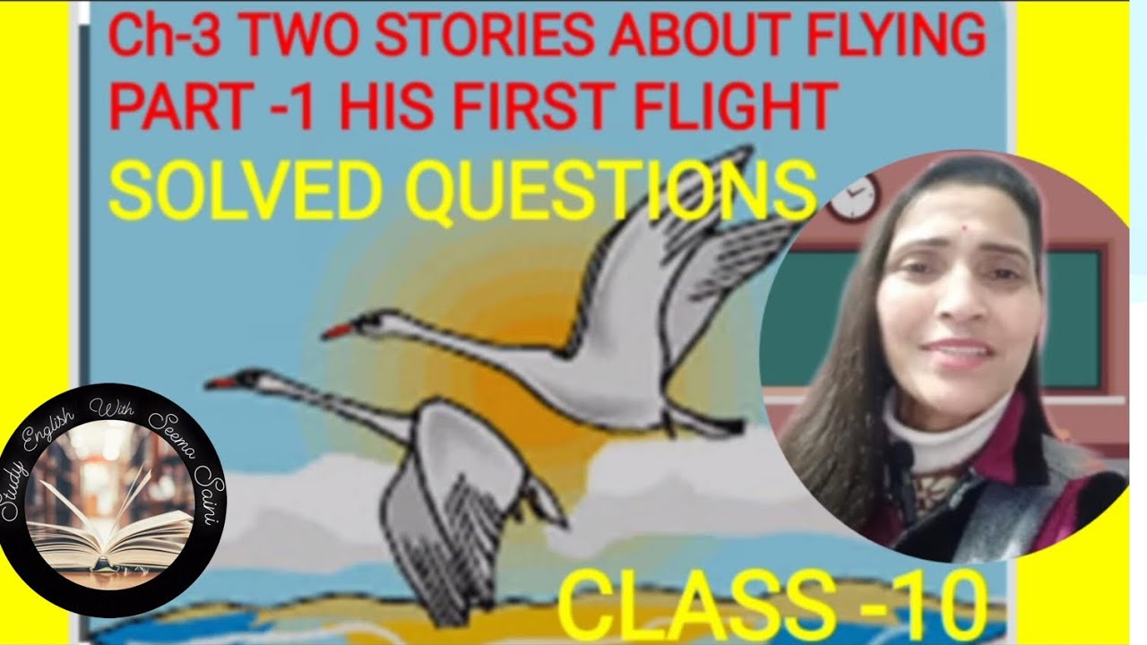Two Stories About Flying | Part-1 His First Flight | Baby Seagull ...