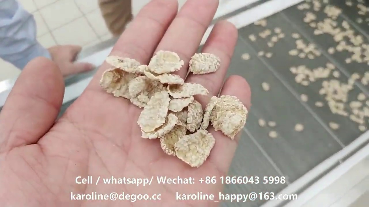 corn flakes maize grain flakes sugar spraying coating machine and ...