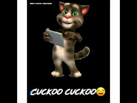 cuckoo cuckoo song in talking tom version 🤩with exam sothanaigal 😔 ...