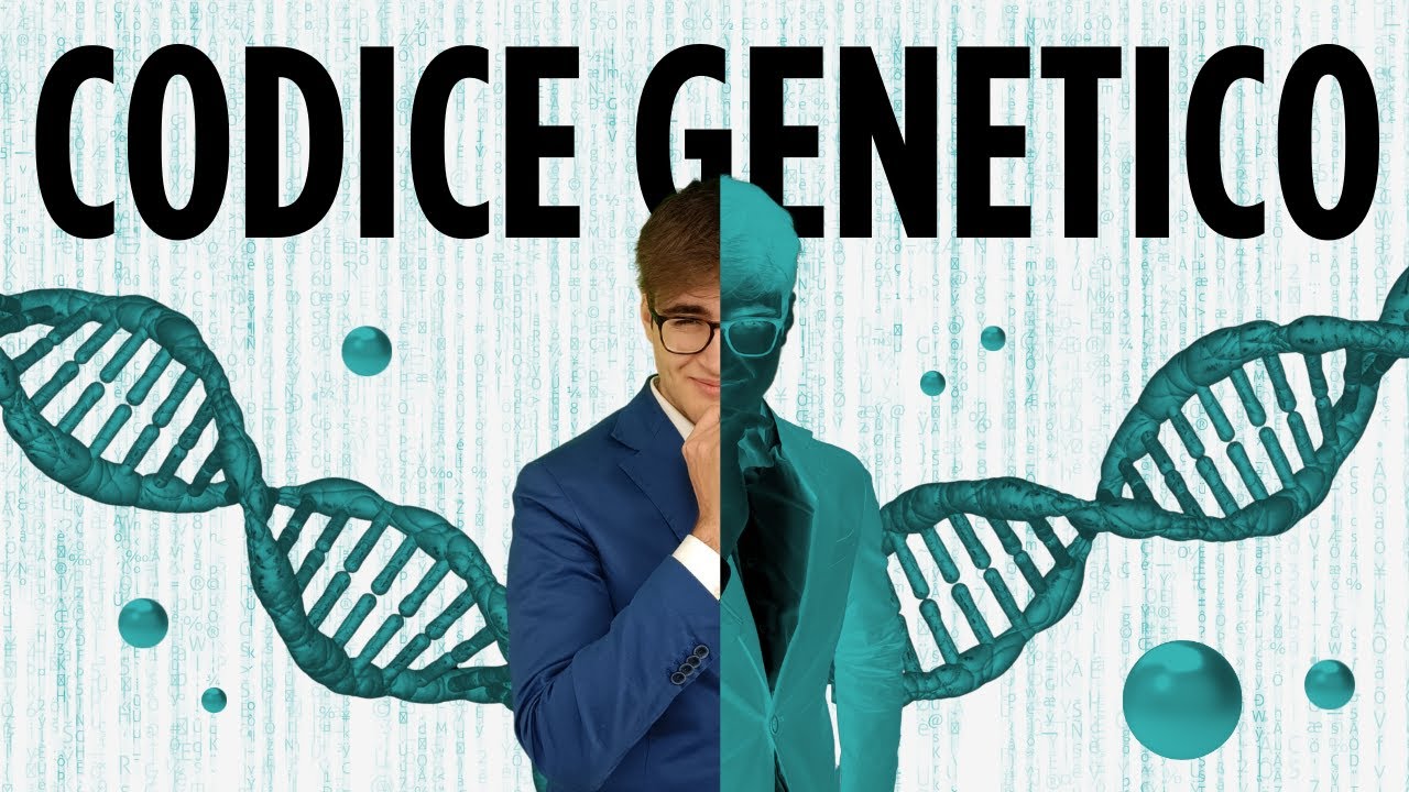 Il CODICE GENETICO spiegato FACILE in poco meno di 3 minuti | BIOLOGIA ...