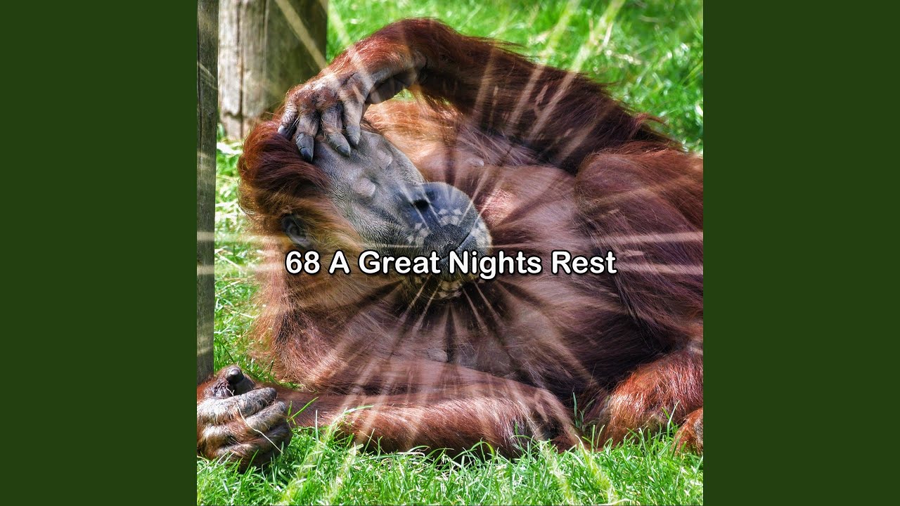 Sleep Impression - YouTube