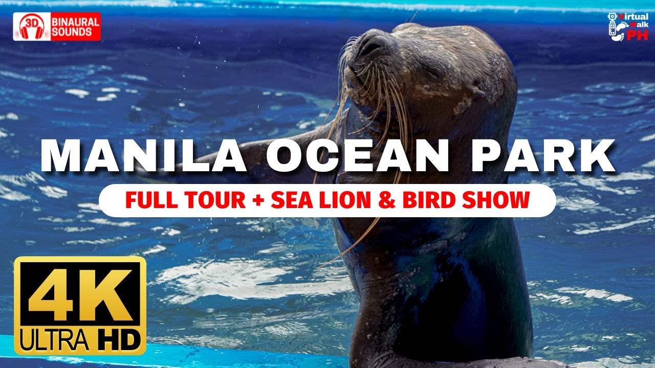 [4K] Complete Ocean Park Manila Virtual Tour | Full Sea Lion & Bird ...