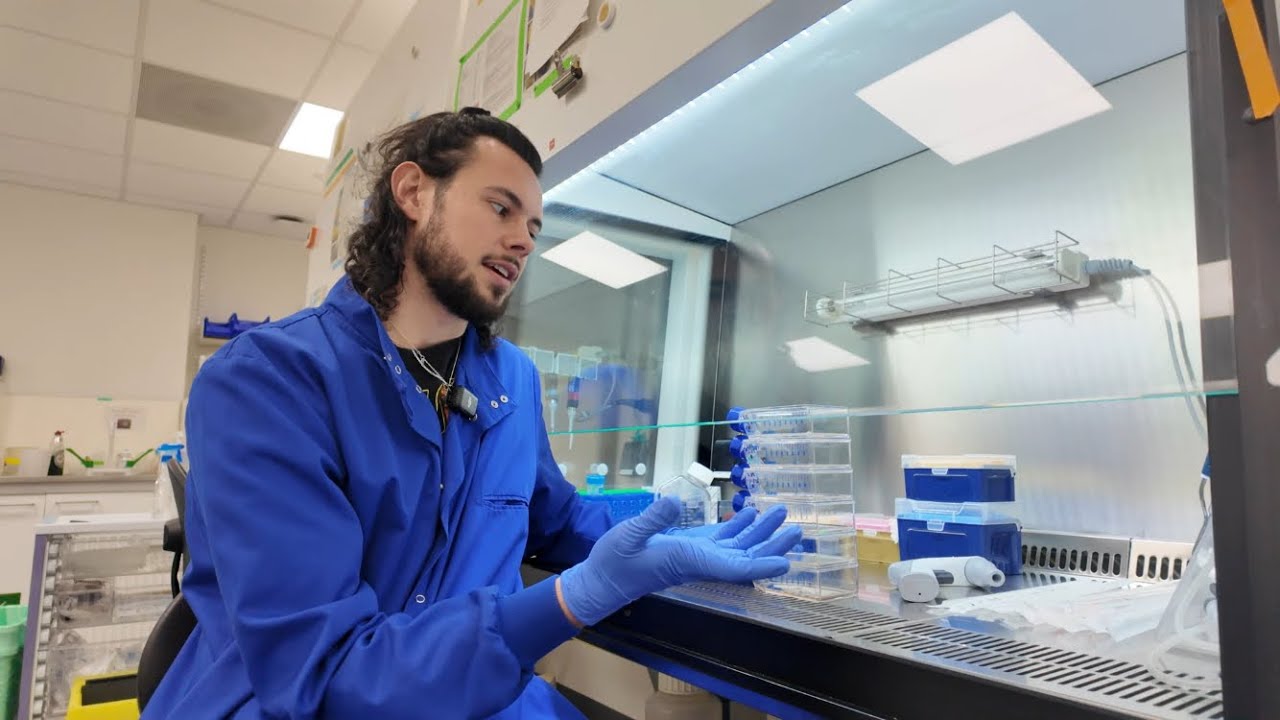 ASMR | Relax while I prepare feeder cells | Tissue Culture Lab ASMR (4K) - YouTube