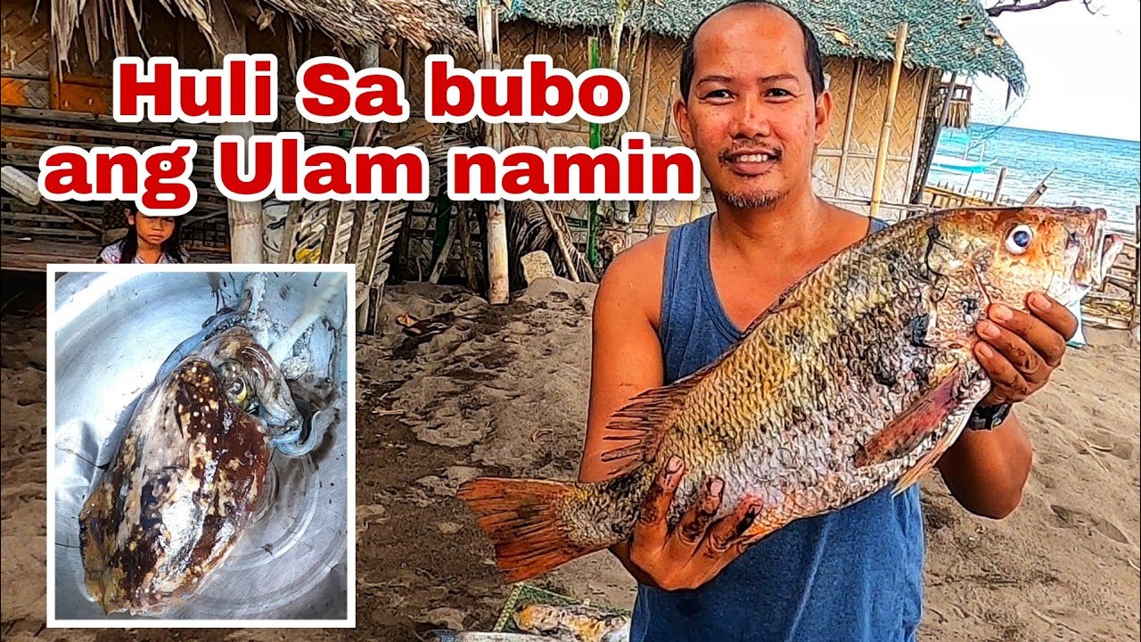Cuttle Fish o Bagulan Catch and Cook Seafood Boodle Fight - YouTube