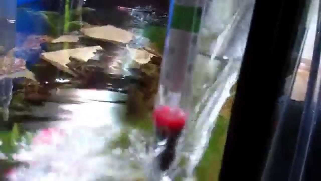 Python Aquarium Water Change System part 2 - YouTube