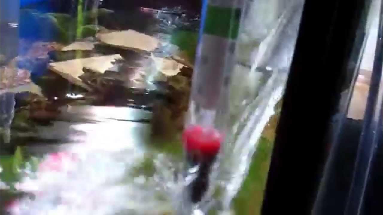 Python Aquarium Water Change System part 2 - YouTube