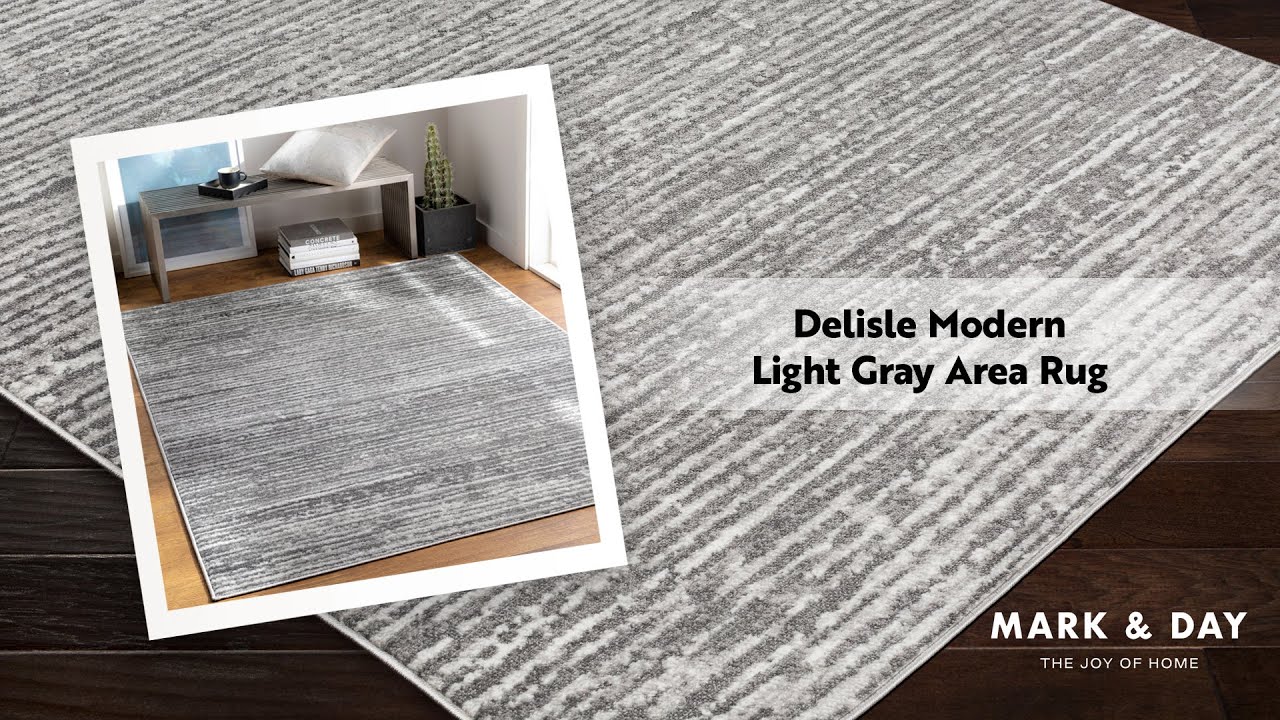 Delisle Modern Light Gray Area Rug - YouTube