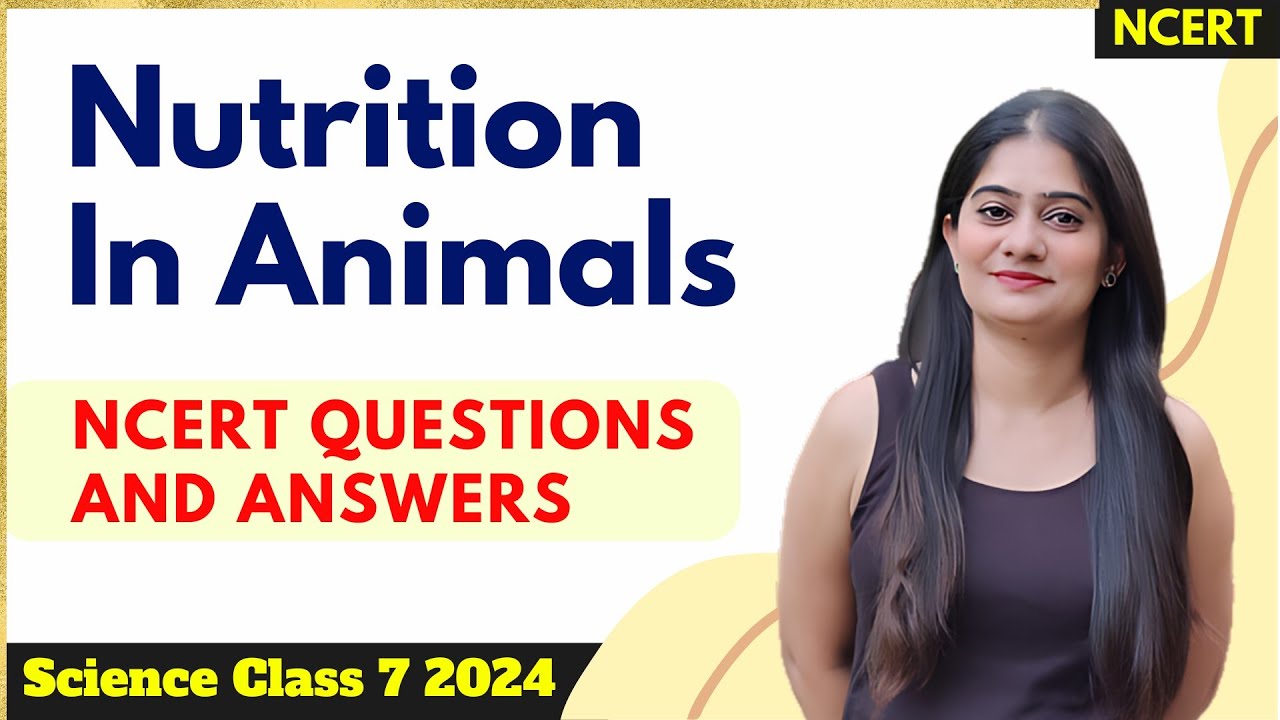 Nutrition In Animals | NCERT QUESTIONS AND ANSWERS | Class 7 Science ...