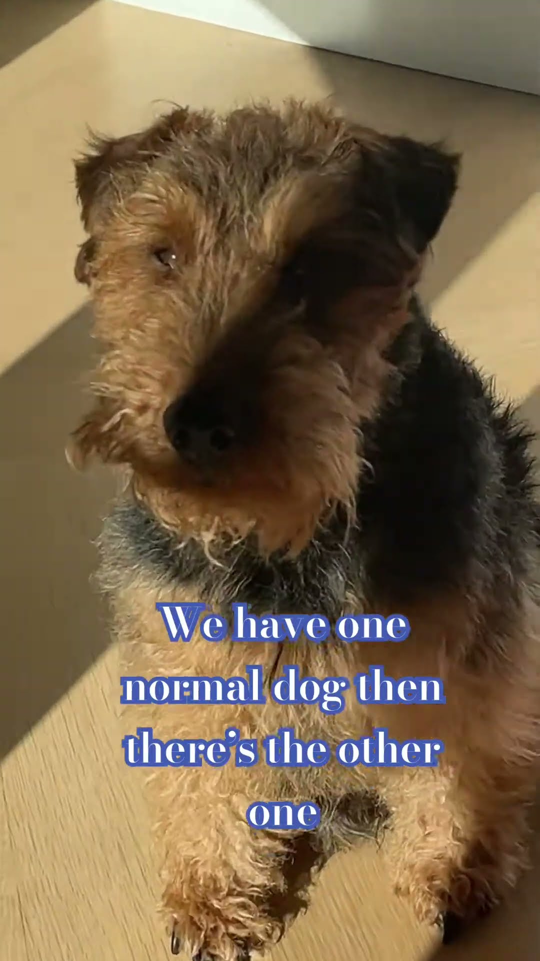 January 7, 2024 - YouTube