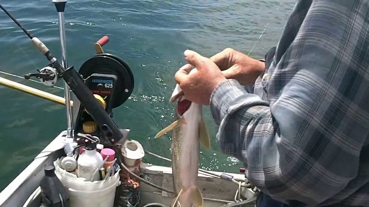 Fishing Flaming Gorge May 25 2013, with Ray Johnson and the Legend Lure ...