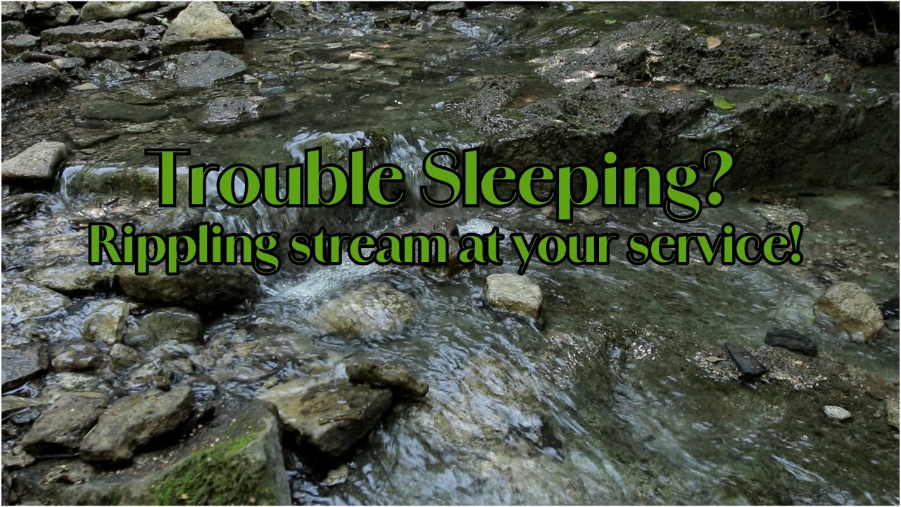 Trouble Sleeping? Let the sound and video of a rippling stream on a summer day rock you to sleep ...