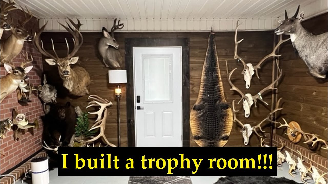 I Built a Trophy Room!!! - YouTube