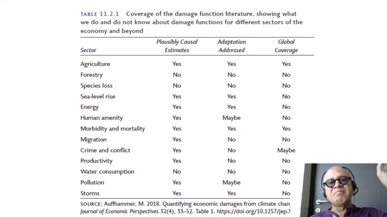 5 The Damage Function - YouTube