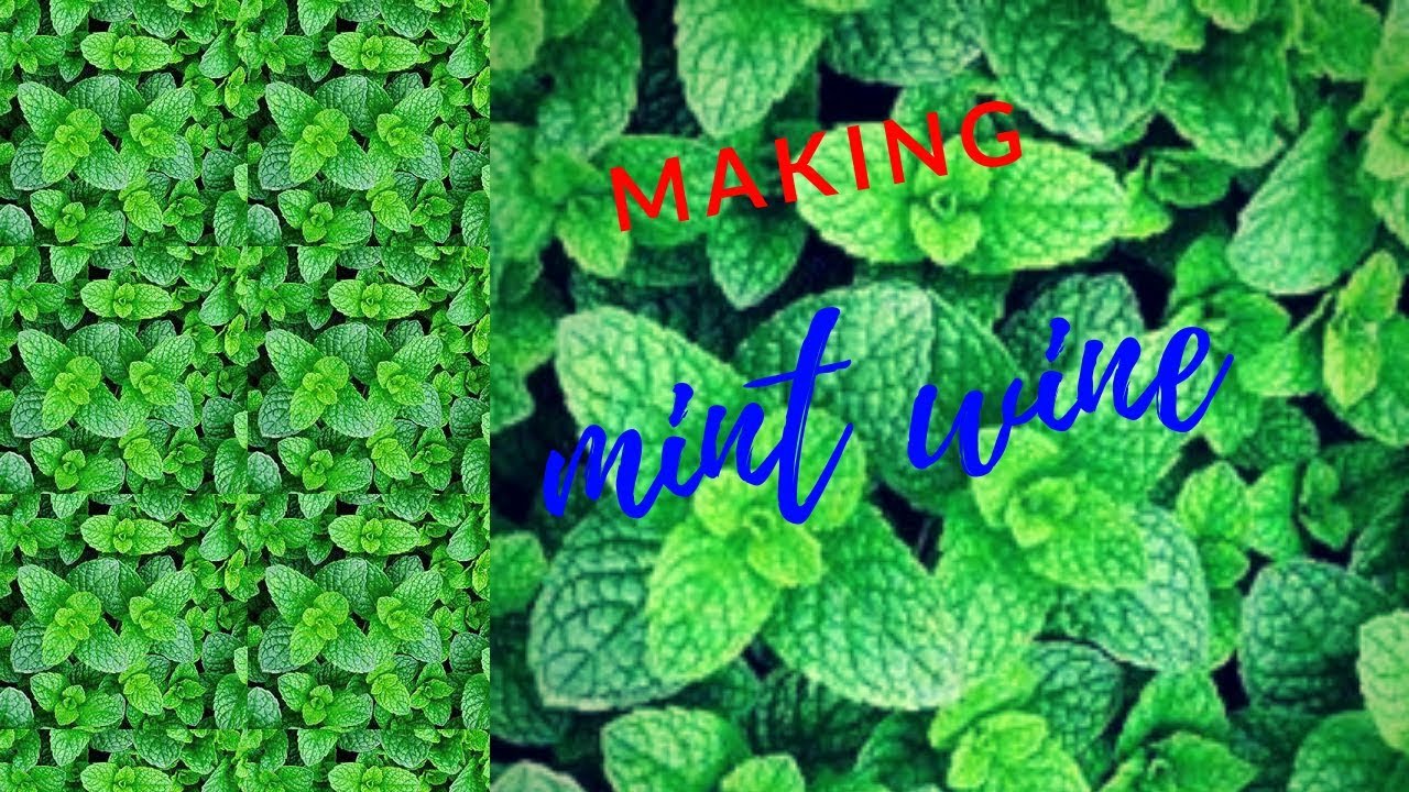 making mint wine - YouTube