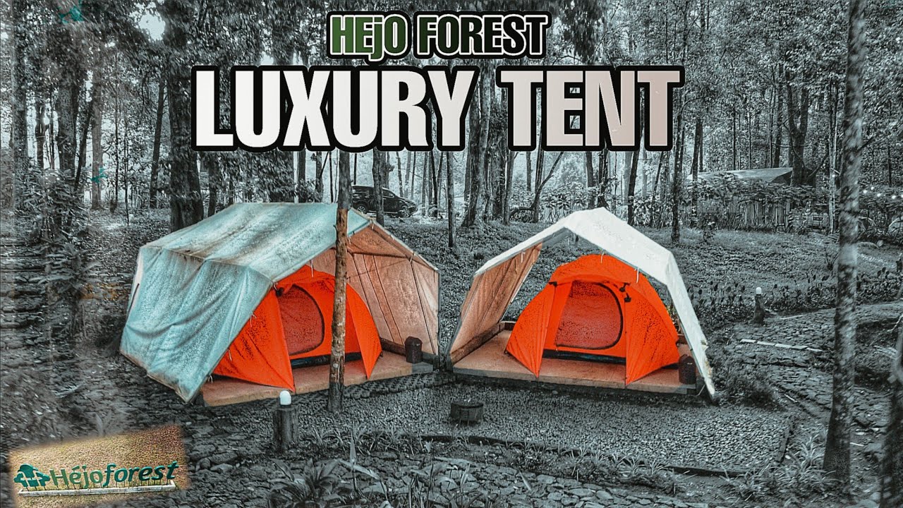 LUXURY TENT , Hejo Forest : Camping dgn tenda ber2 ,dapat Sleeping Bag ...
