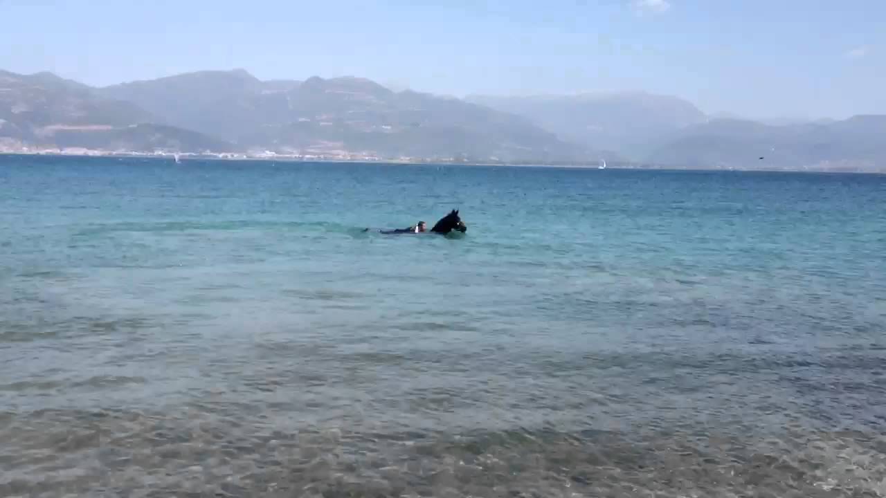 Ενα αλογο κανει μπανιο στο Δρεπανο - YouTube