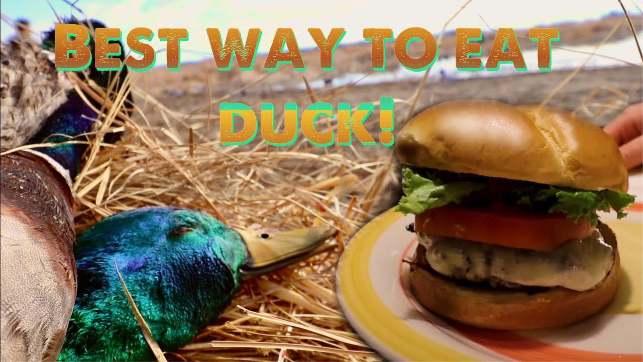 Duck Hunt Catch and Cook (Smash Burgers) - YouTube