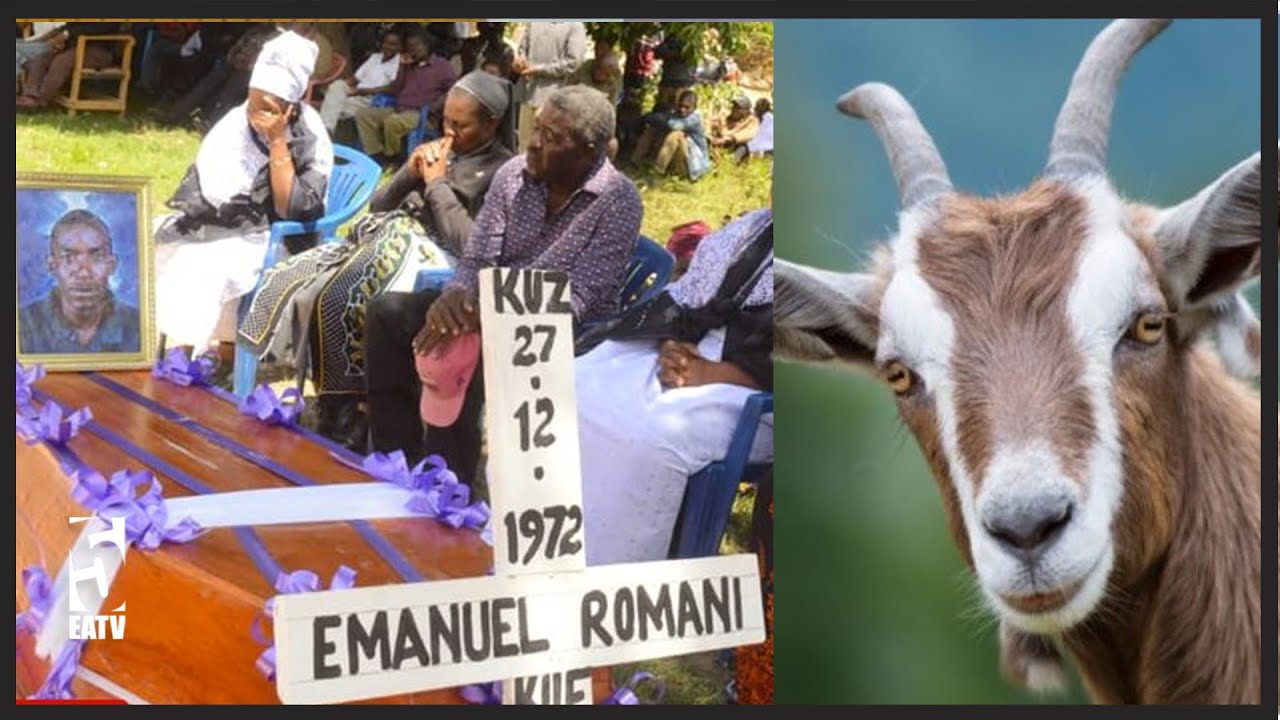 #LIVE: AJIKATA KOROMEO HADI KUFA | SERIKALI YATOA NG'OMBE NA MBUZI ...